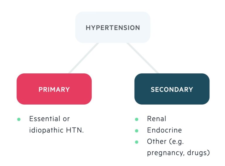 Different Types of Hypertension | MantraCare