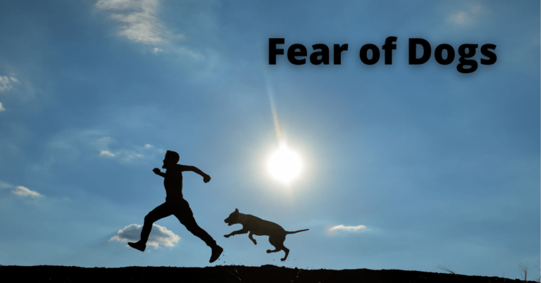 Fear of Dogs : Symptoms, Diagnosis, Prevention and Treatment