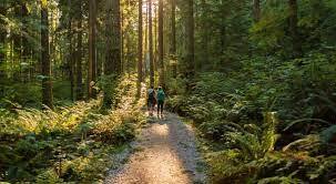 Ecotherapy: Benefits, Drawbacks, Limitations and More