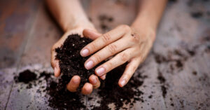 Eating Dirt Disorder: What Is It, Signs, Causes, And Treatment