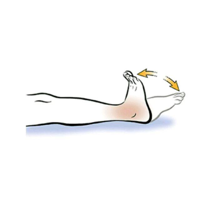 Physical Therapy Exercises: Top 10 Examples And Tips To Start