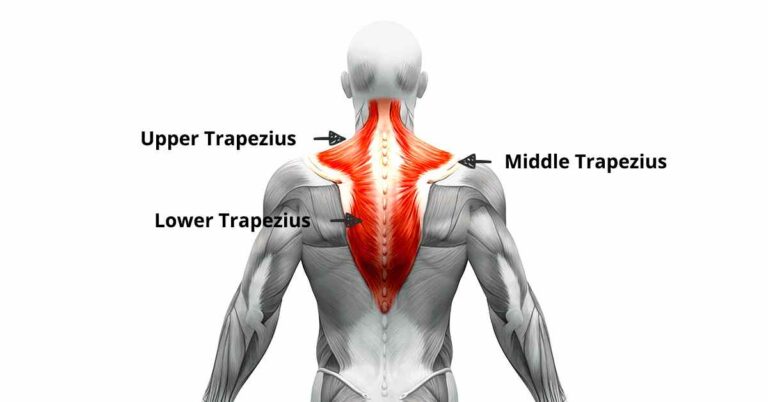 Trapezius Pain After Sleeping- How Can You Manage It?