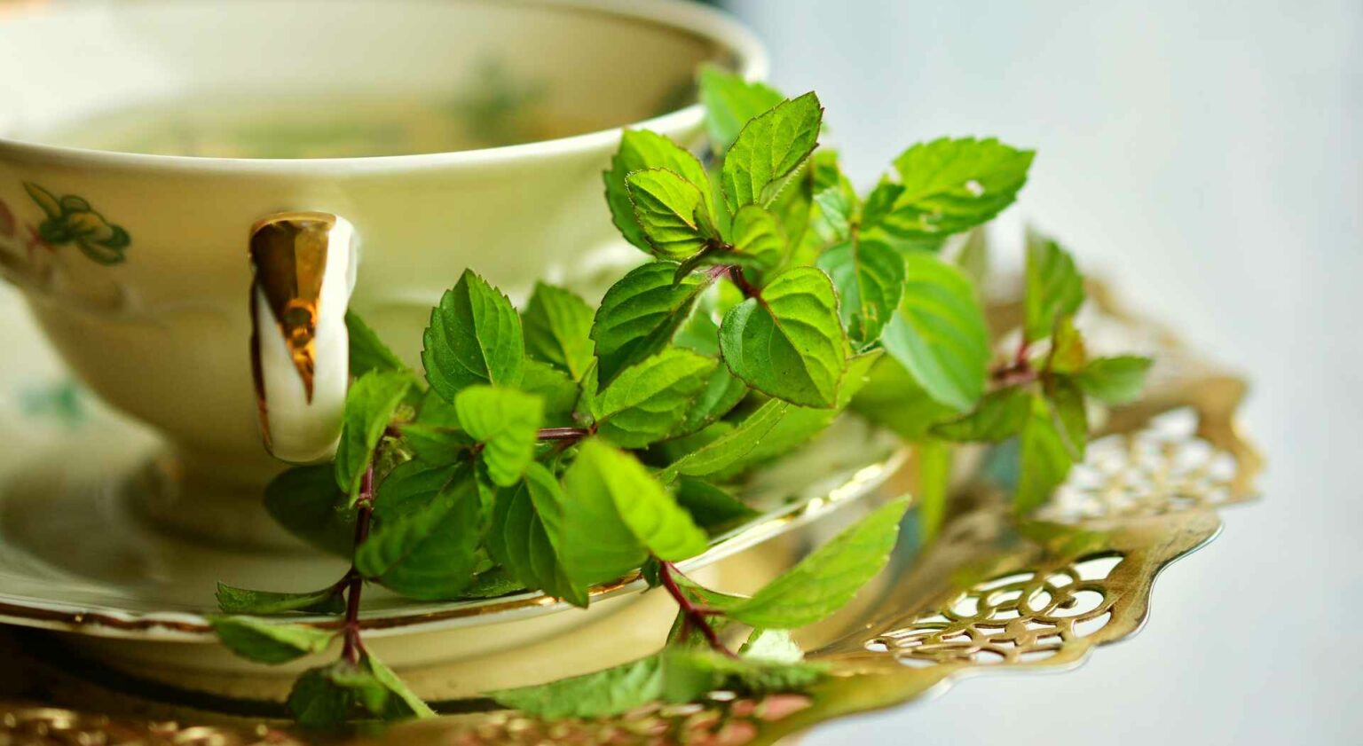 Herbal Treatment For Depression: 10 Best Herbs to Choose
