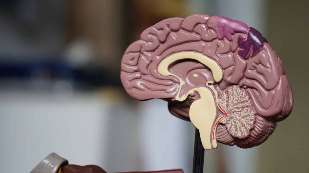 Brain Spotting Therapy : What is It, Techniques and Benefits of It